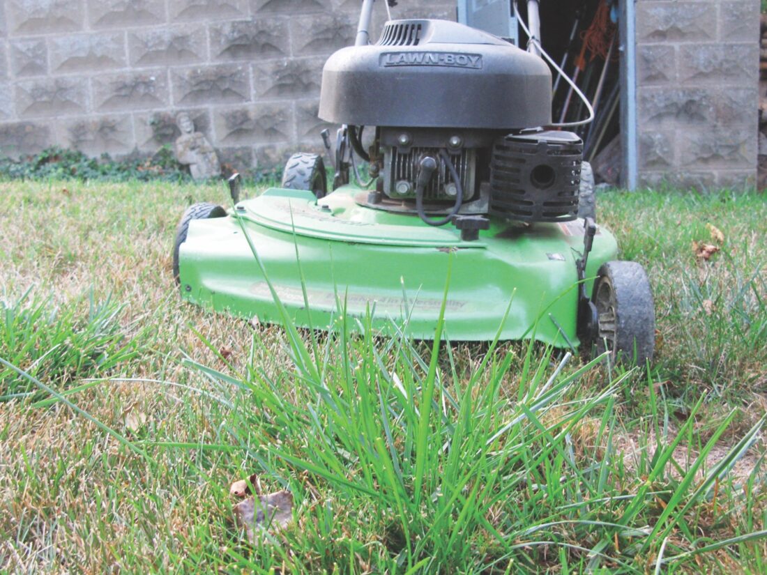 How to prepare your lawn for fall and winter | News, Sports, Jobs ...
